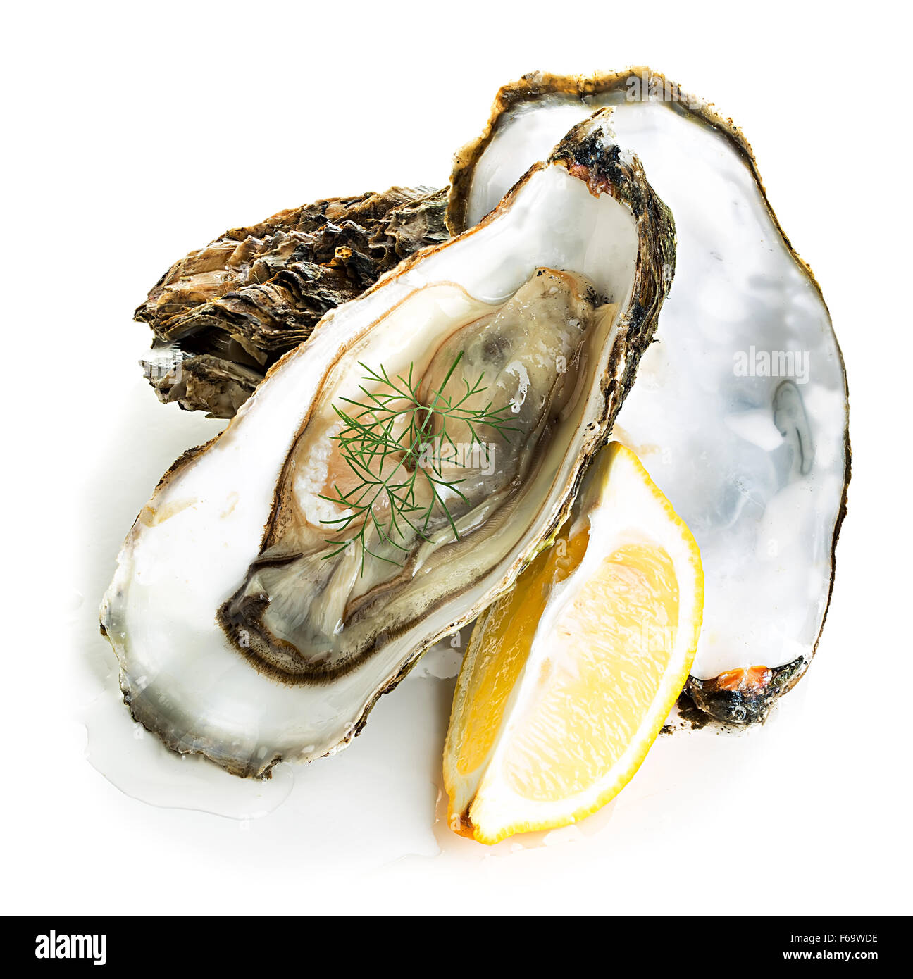 Oysters isolated on a white background Stock Photo - Alamy