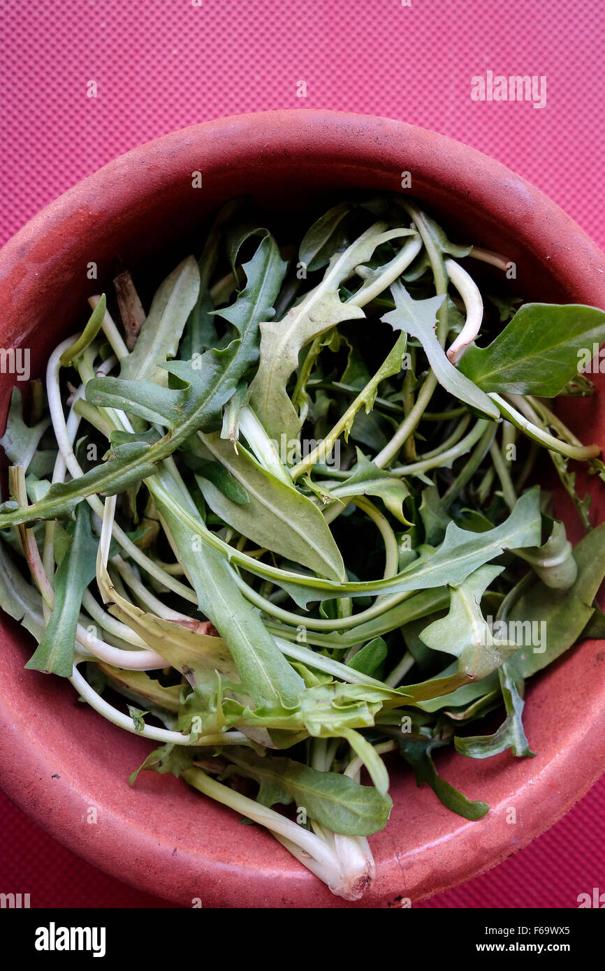 Greek Cuisine. Fresh Uncooked Vleeta Stamnagathi Wild Greens Stock ...