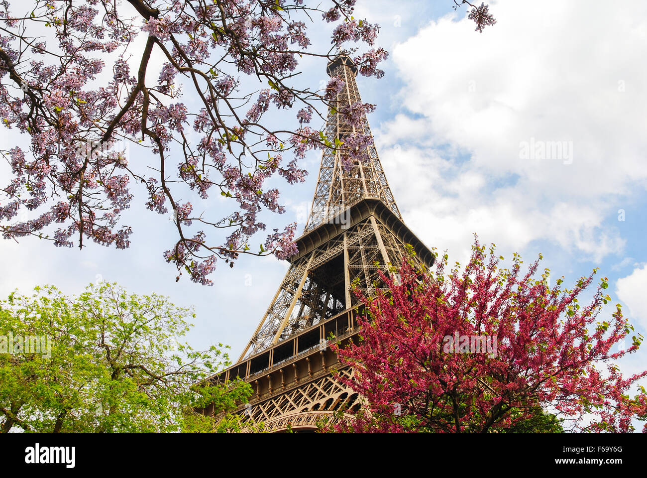 Eiffel tower surrounded by the spring flowers Stock Photo - Alamy