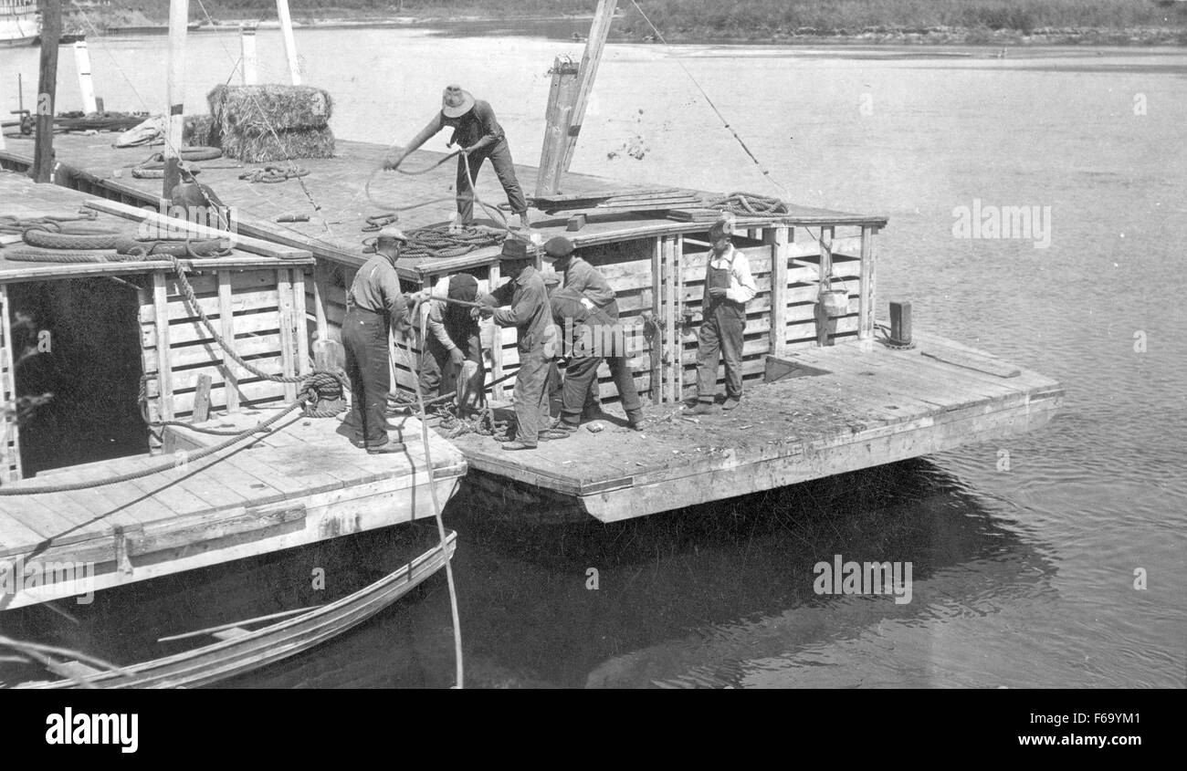 Barges were used to transport bison from Waterways to Wood Buffalo, an ...