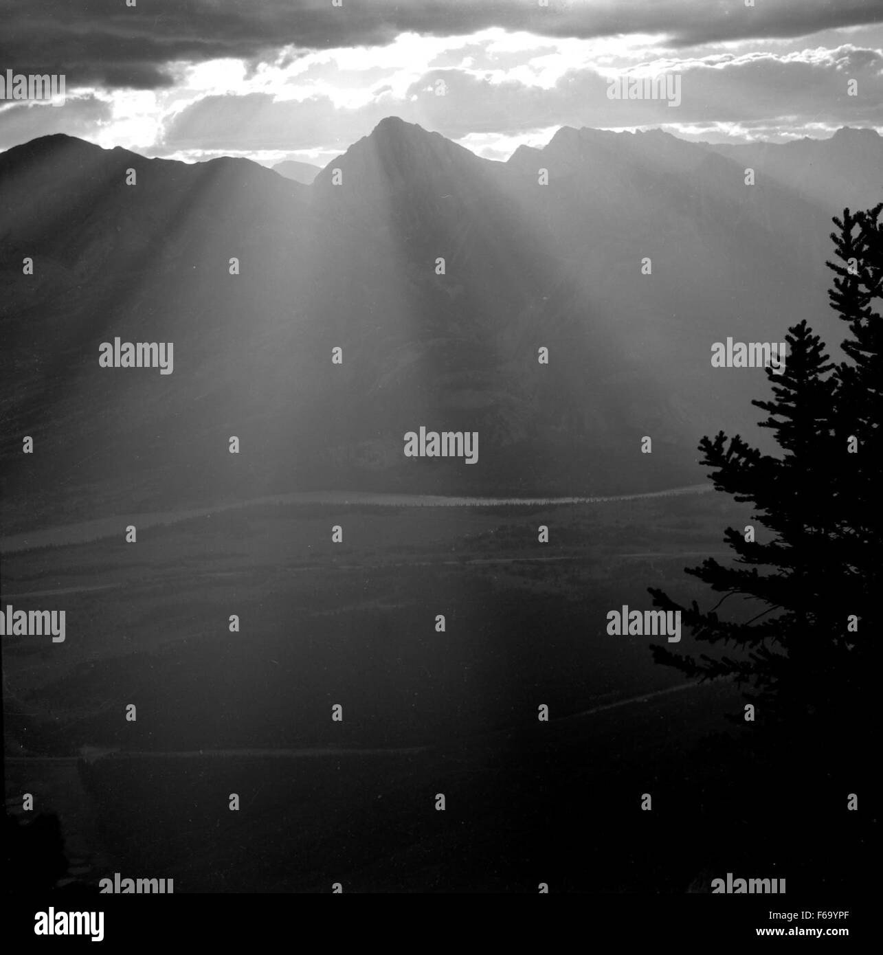 Colin Mountain and the Athabasca Valley at sunrise, Jasper National ...