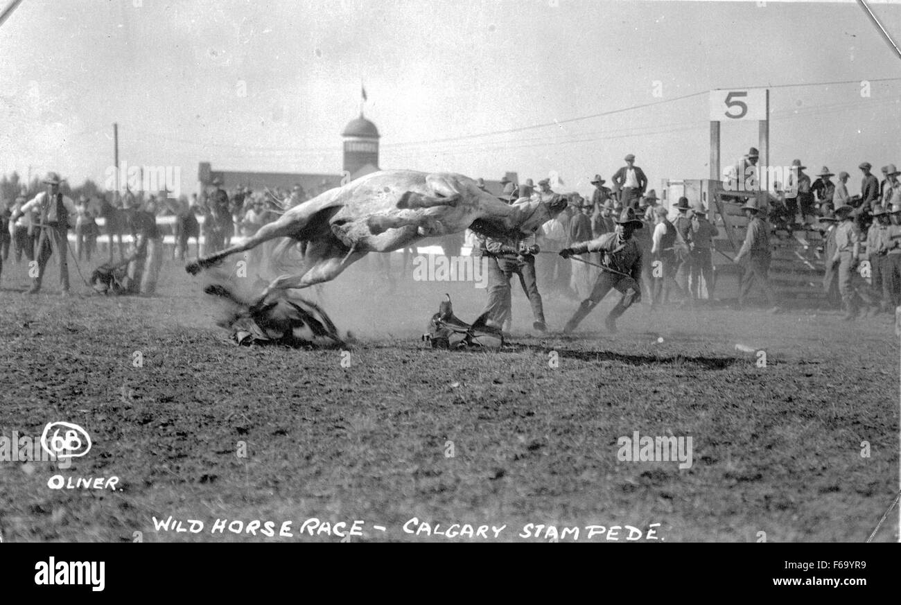 A dynamic photograph capturing the excitement of a wild horse race ...