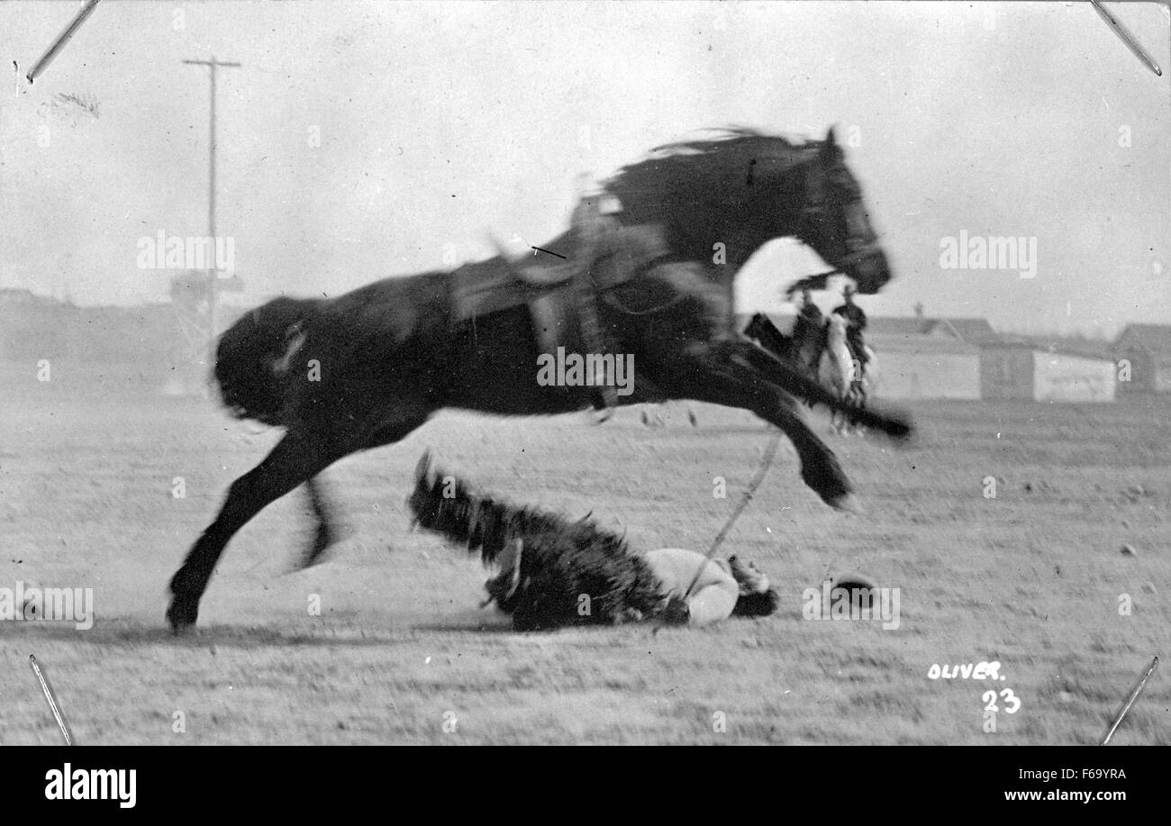 A cowboy is shown falling off a bucking bronco, illustrating the skill ...