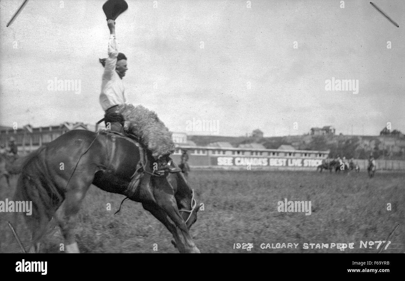 A cowboy rides a bucking bronco in a rodeo event, demonstrating ...