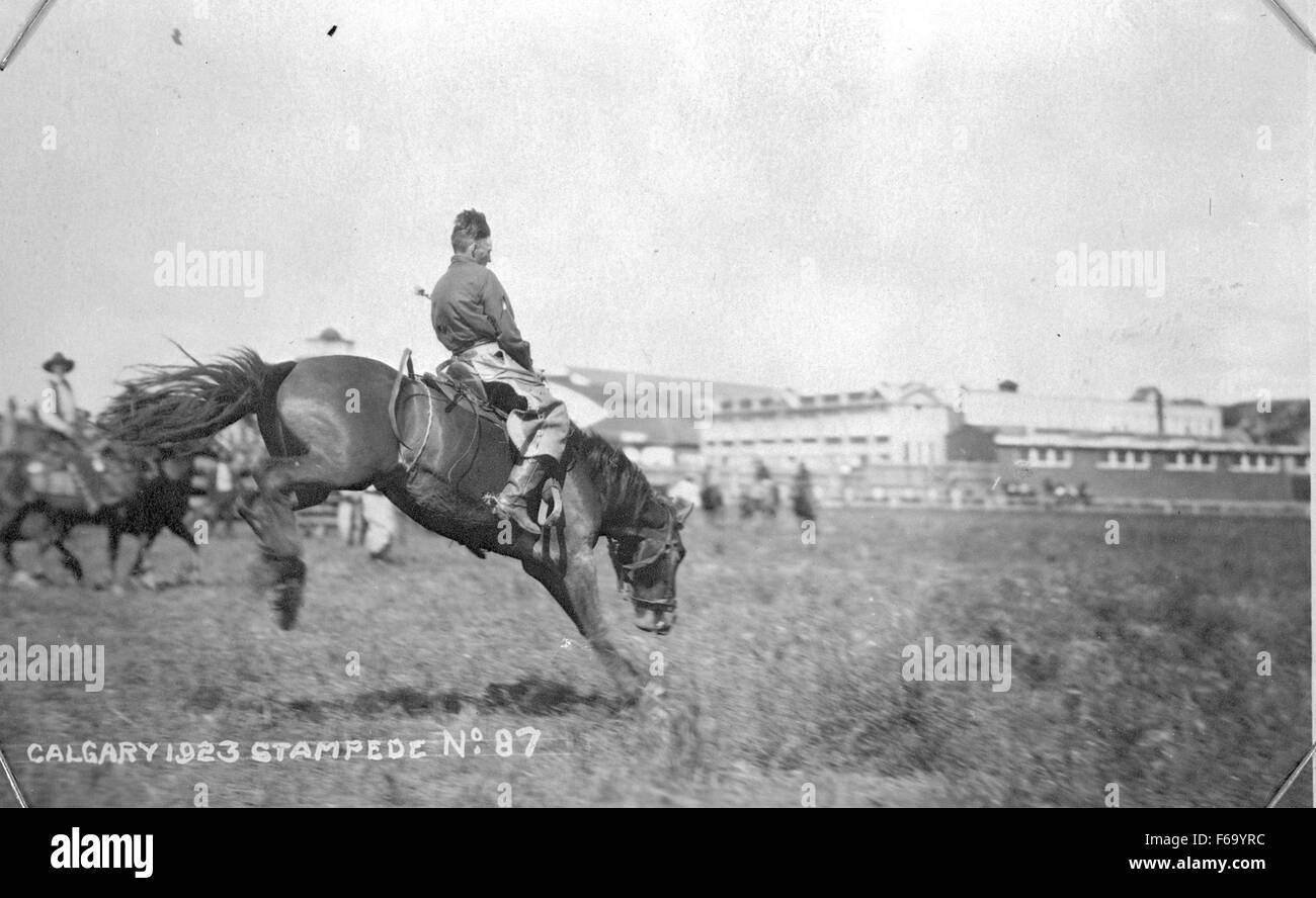 Cowboy on bucking bronco Stock Photo - Alamy