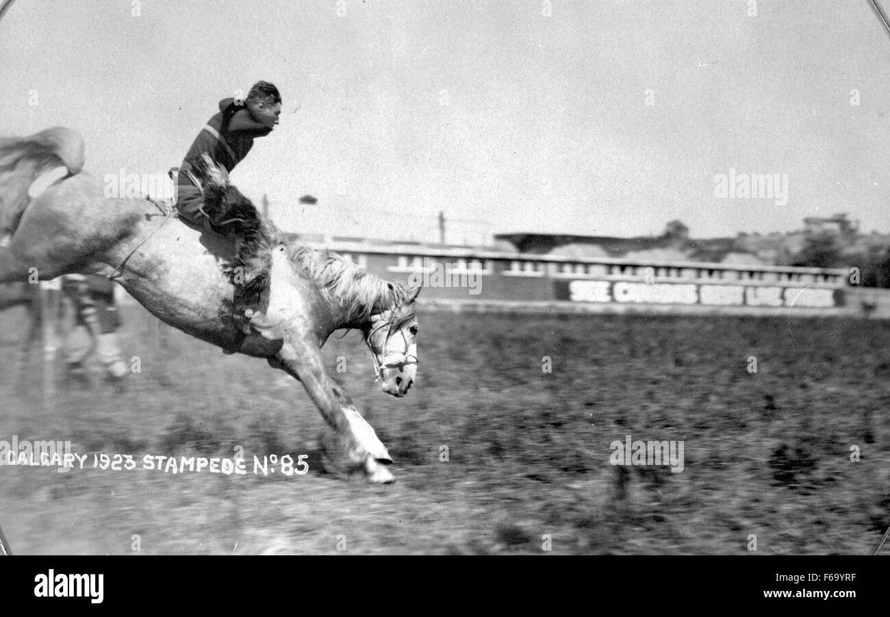 Bucking bronco Black and White Stock Photos & Images - Alamy