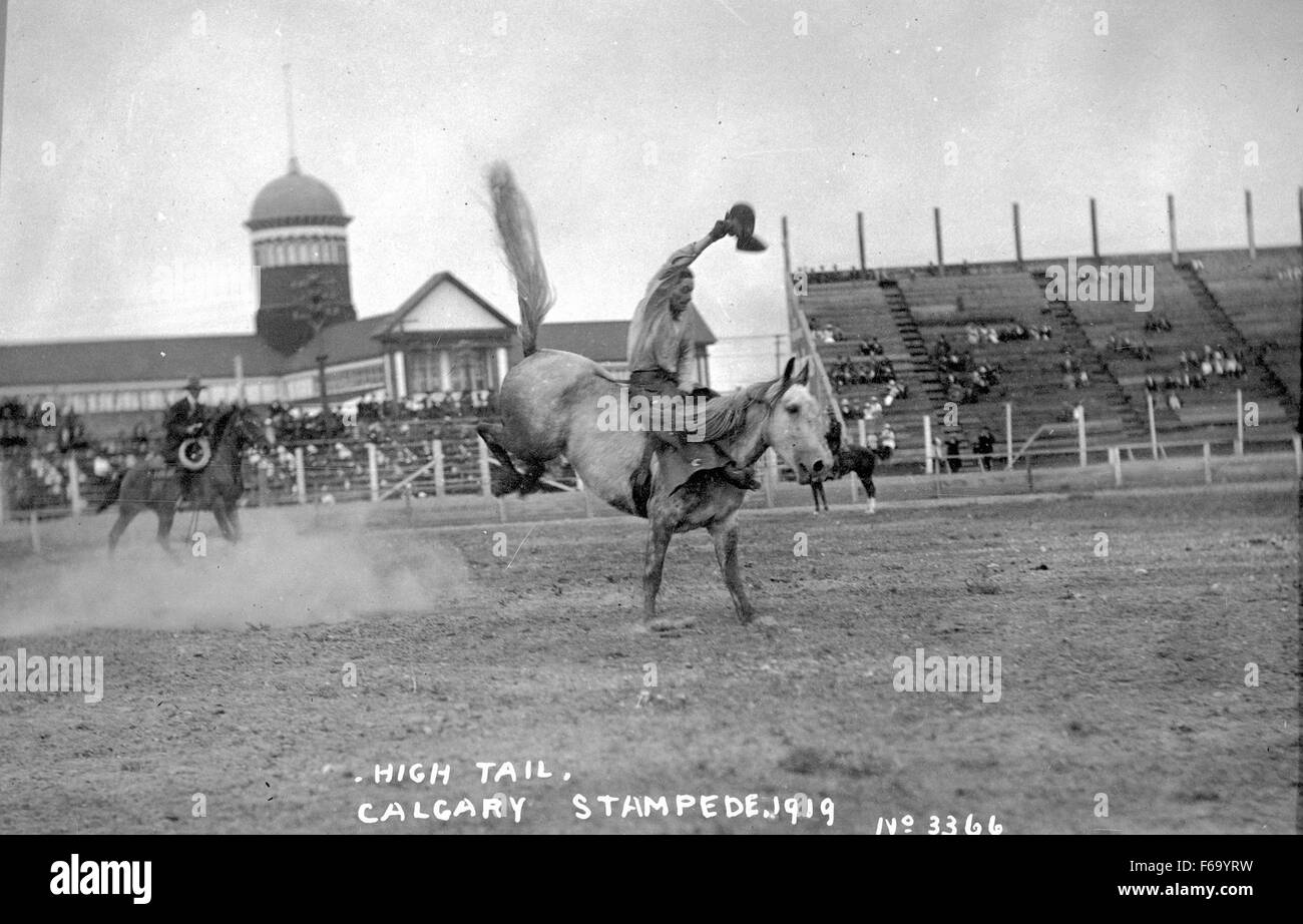 A classic photograph of a 'high tail' moment, capturing the motion of a ...