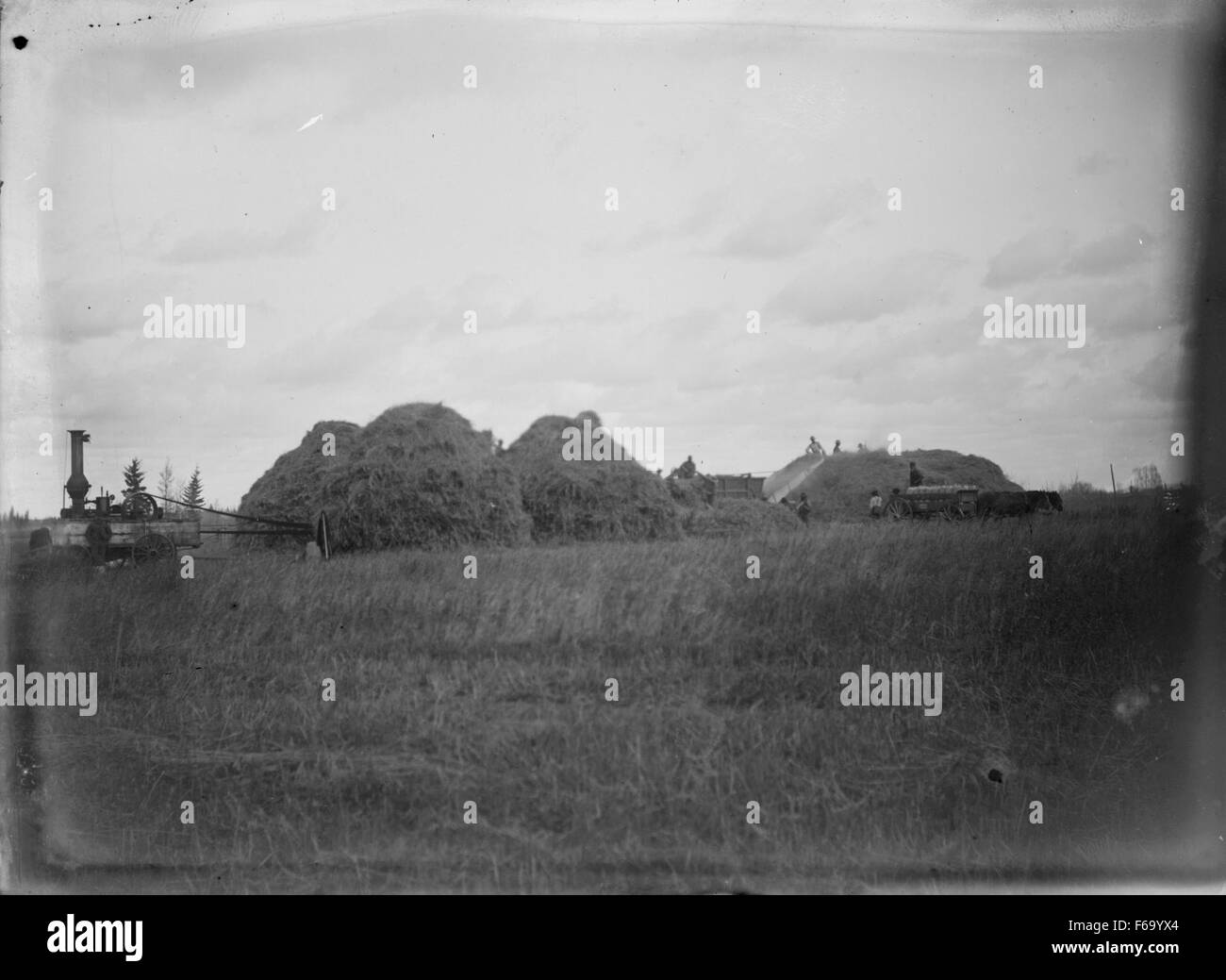 Crew harvesting Black and White Stock Photos & Images - Alamy
