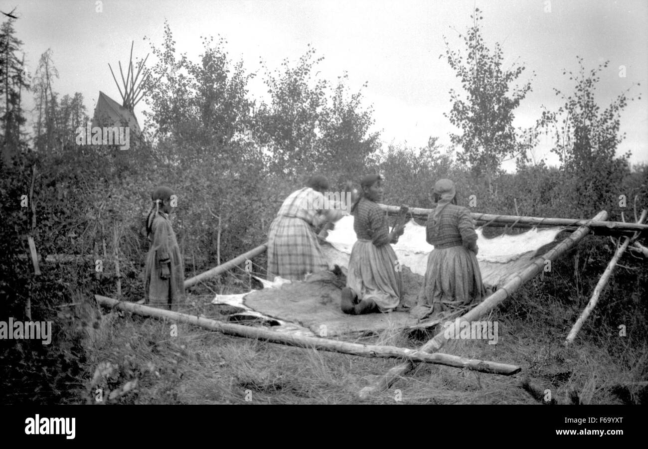 Women are shown scraping a large hide at Nakoda Summer Camp near Banff ...