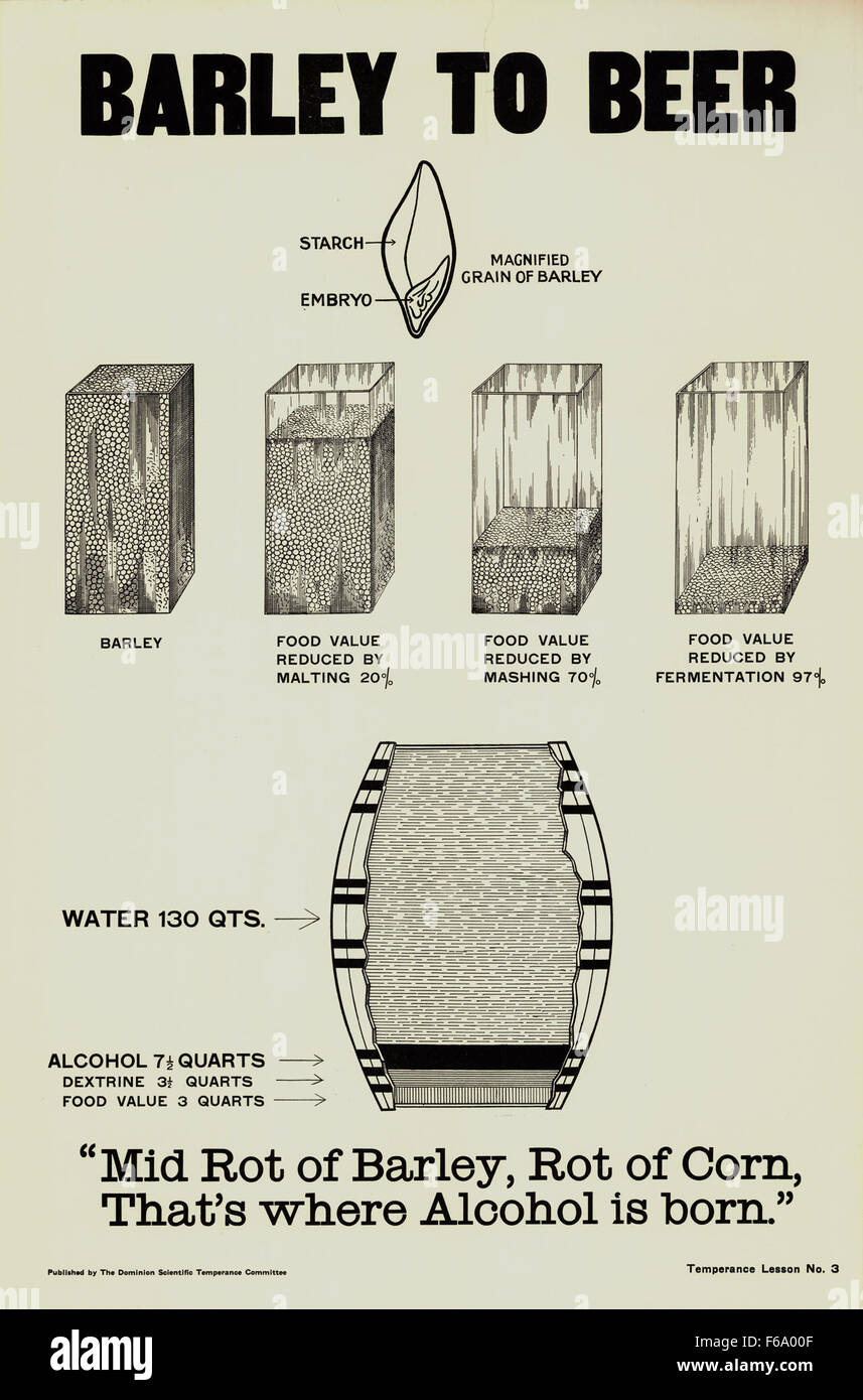 Temperance poster promoting the prohibition of alcohol Stock Photo - Alamy