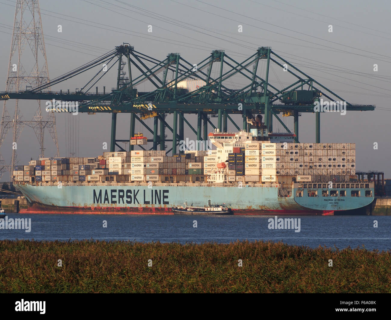 Maersk Kyrenia (ship, 2001), Deurganckdok, Port of Antwerp, Belgium ...