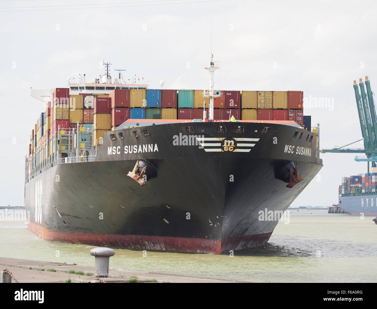 The MSC Susanna, a container ship, operates at Berendrechtsluis in the ...