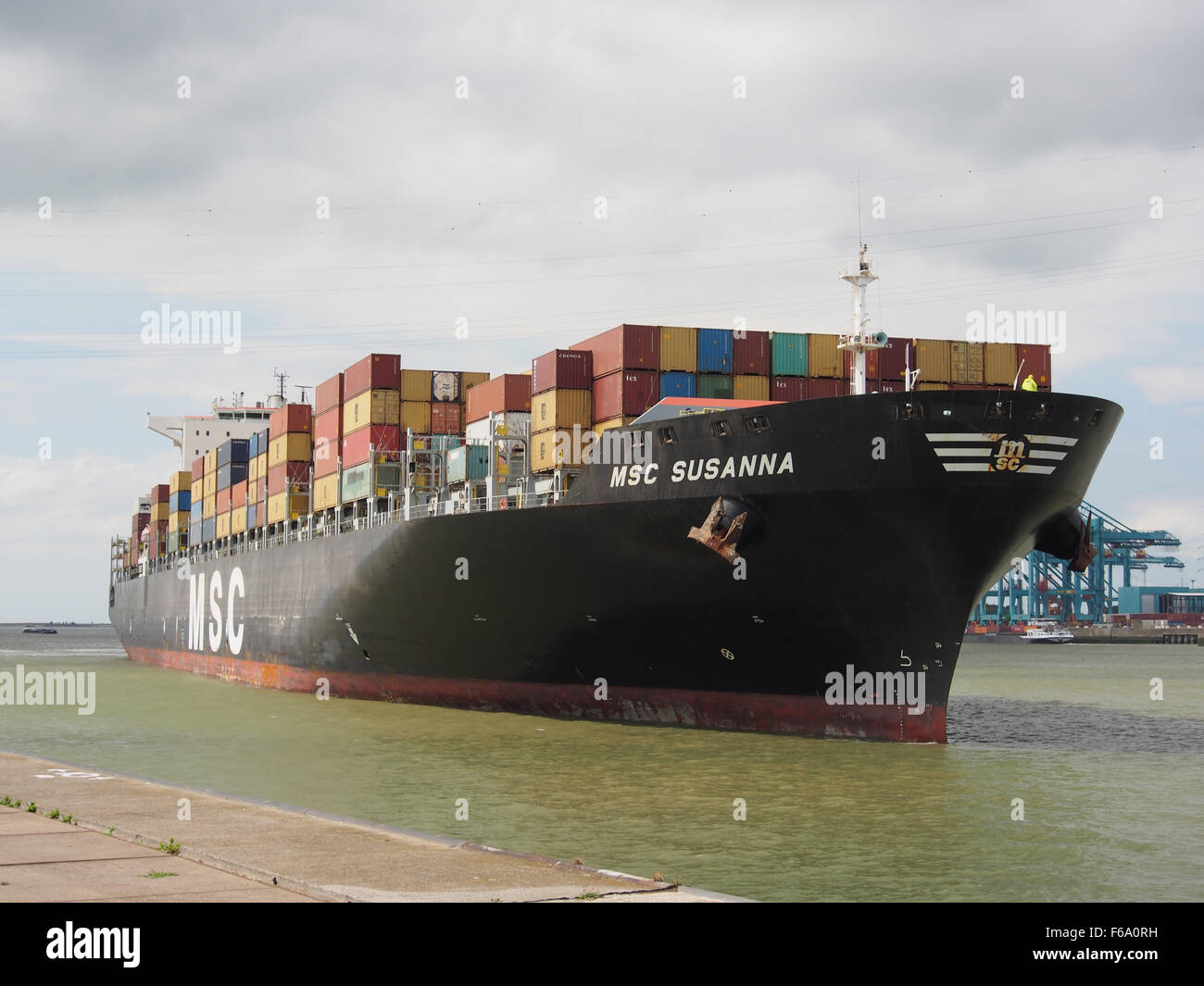 Msc susanna hi-res stock photography and images - Alamy