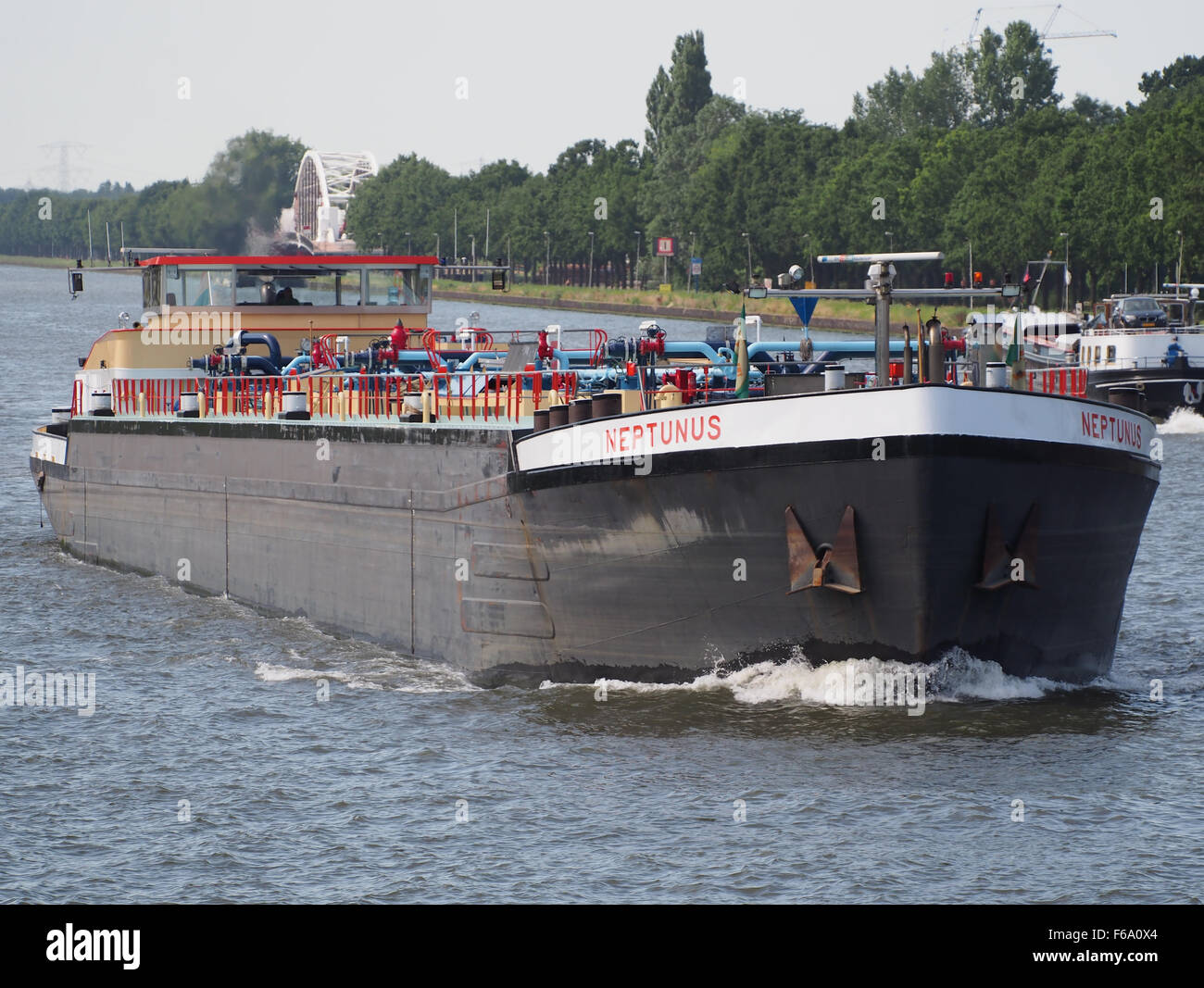 The Neptunus, built in 1987, is a container ship and oil tanker ...