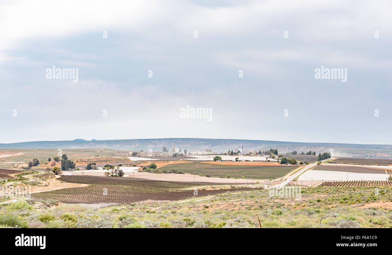 VREDENDAL, SOUTH AFRICA - AUGUST 12, 2015: Vineyards and a factory near ...