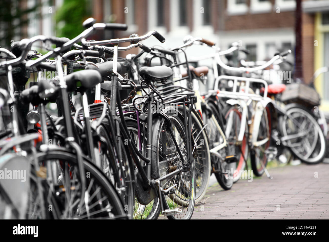Color image of a large group of parked bicycles Stock Photo - Alamy