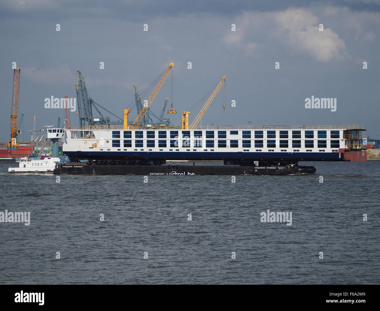 Riga, IMO 9688506, with ENI 02723495, operates at the Port of Antwerp ...