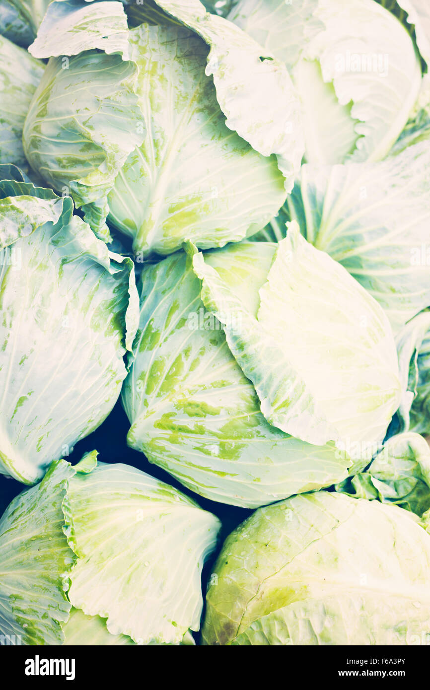 Fresh pile of cabbage at the local farmer's market Stock Photo - Alamy