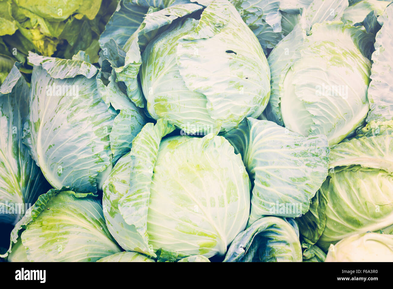 Fresh pile of cabbage at the local farmer's market Stock Photo - Alamy