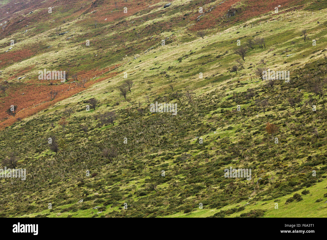Hill slope hi-res stock photography and images - Alamy