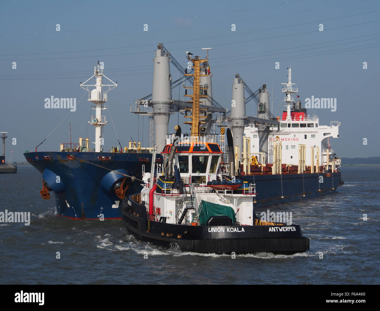 Tenacity, identified by IMO 9647887, operates at the Port of Antwerp ...