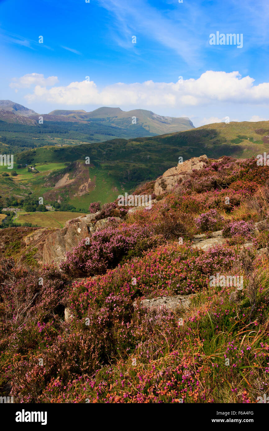 Snowdonia view hi-res stock photography and images - Alamy