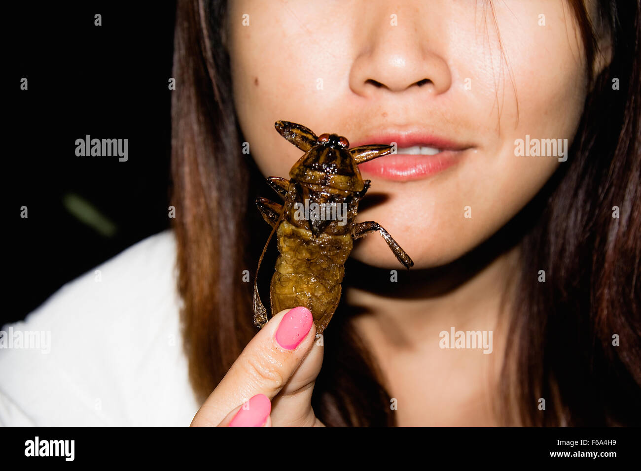 Image of a Thai girl about to eat a large cooked crispy beetle Stock ...