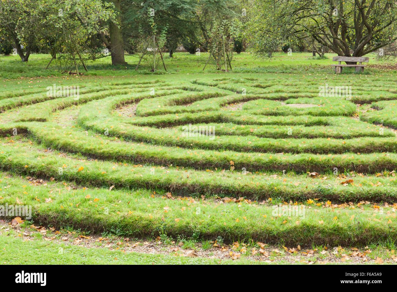 Turf Maze at Doddington Hall and Gardens, Lincolnshire, UK. Autumn ...
