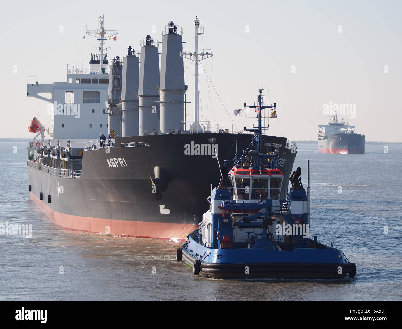Aspri (ship, 2014) IMO 9658771, Port of Antwerp pic4 Stock Photo - Alamy