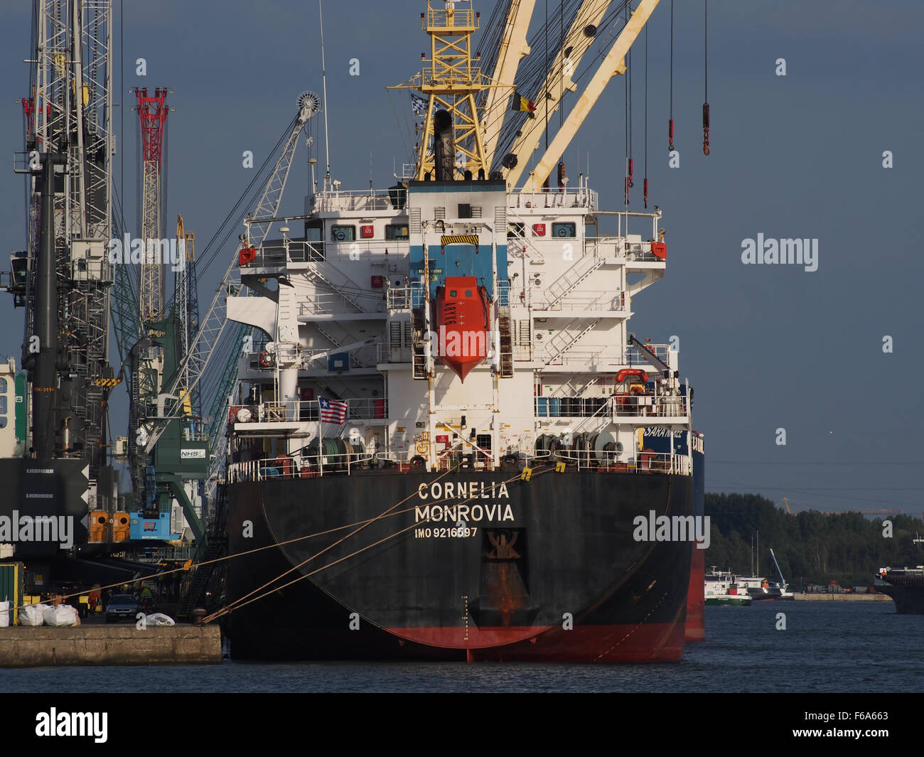 The Cornelia, a vessel with IMO number 9216597, is seen docked at the ...