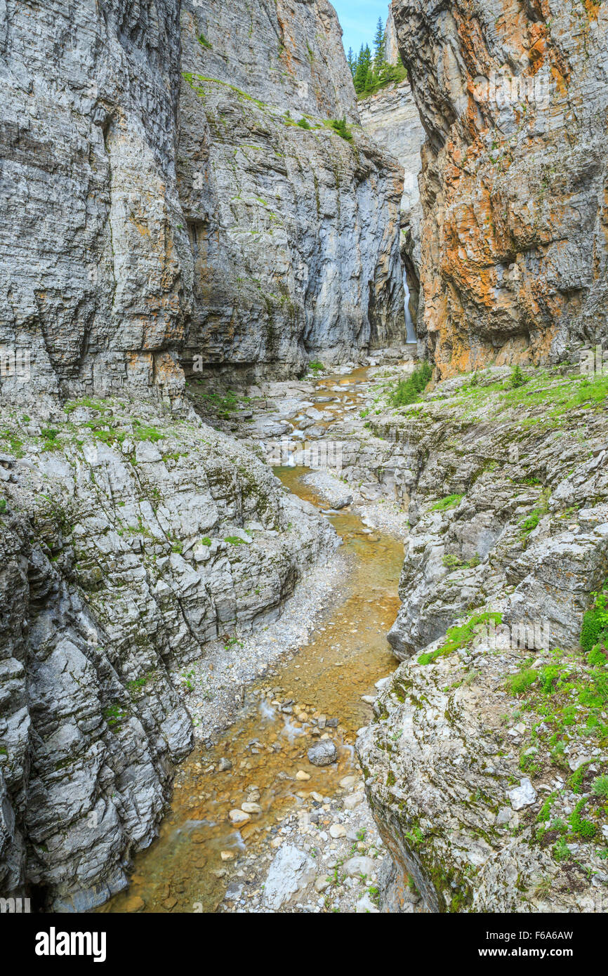 muddy creek canyon and falls along the rocky mountain front near bynum ...