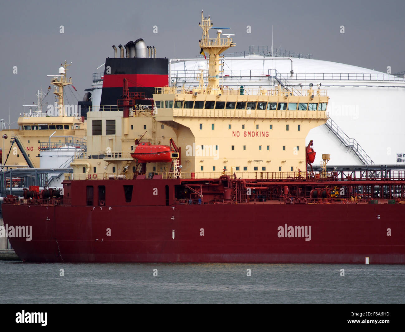 Emerald shiner hi-res stock photography and images - Alamy