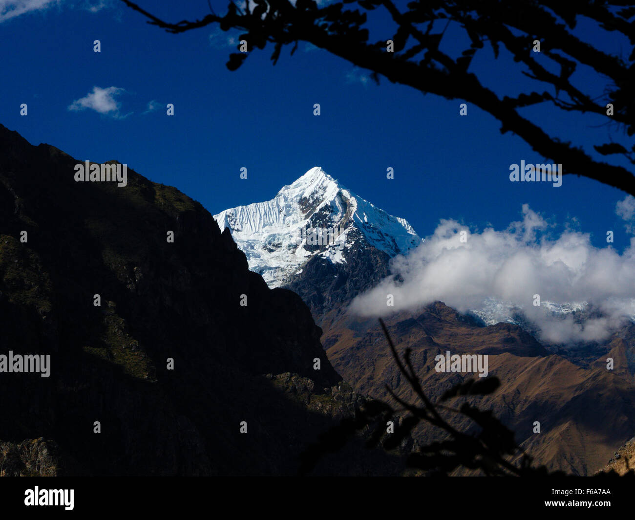 Nevado veronica hi-res stock photography and images - Alamy Nevado veronica hi-res stock photography and images - Alamy