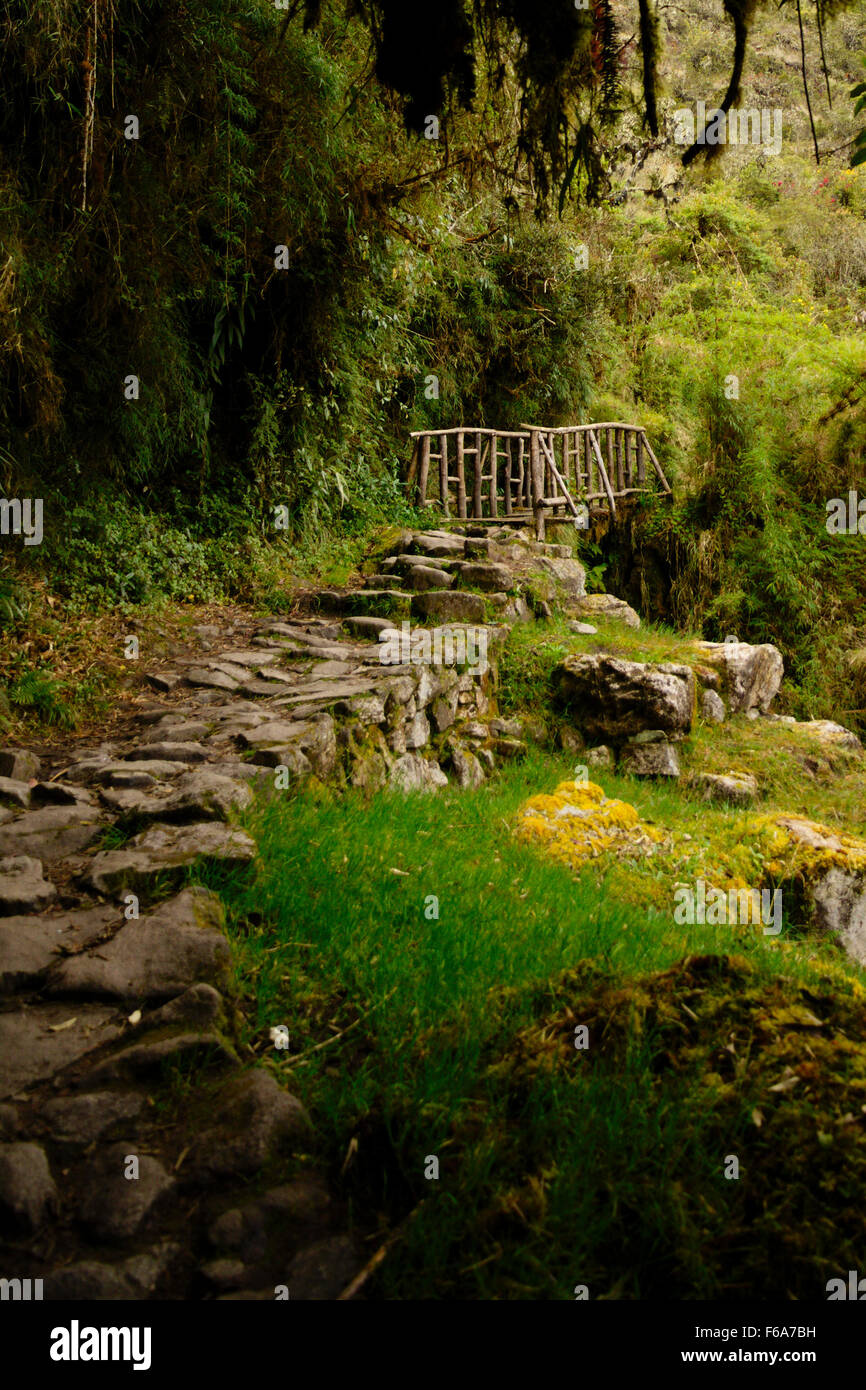 Inca trail path in the forest with a wood bridge Stock Photo - Alamy