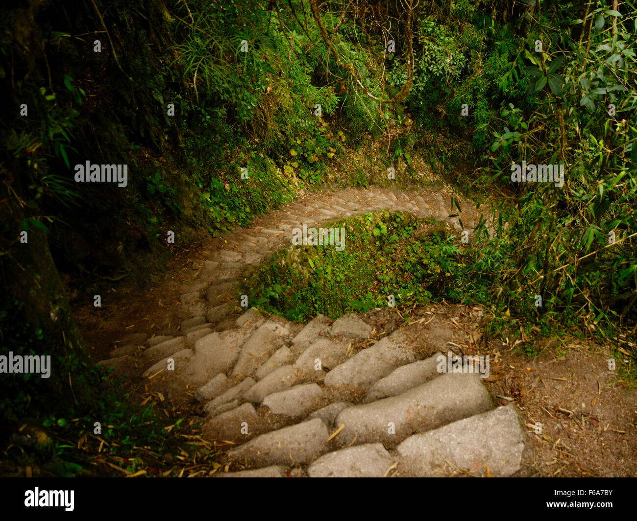 Inca path hi-res stock photography and images - Alamy