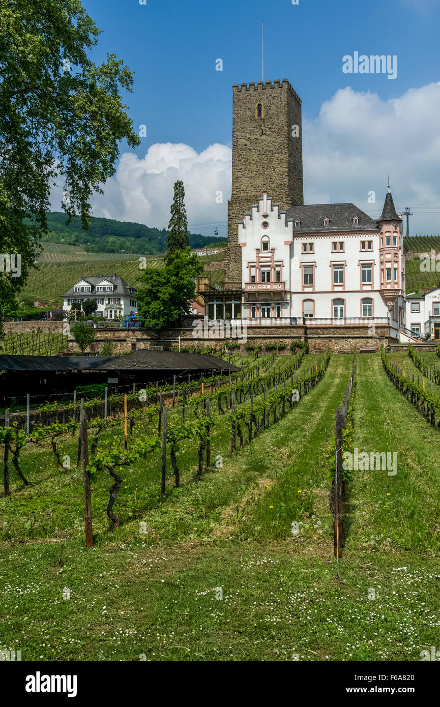 Ruedesheim am rhine hi-res stock photography and images - Alamy