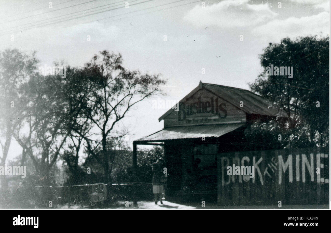 The Schwarzel Family Store, located on Tower Street in Panania, New ...