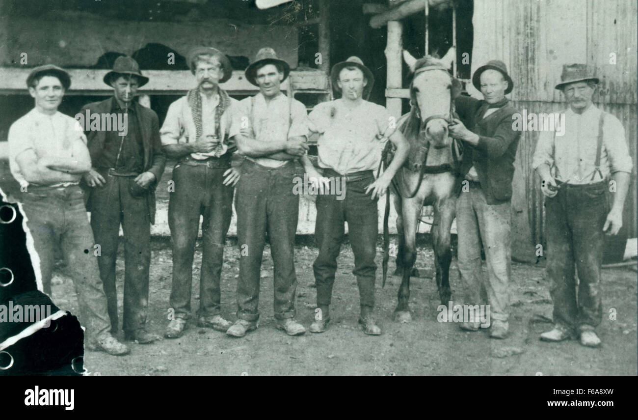 Photograph of Cragg's Knackery in Condell Park, Sydney, Australia ...