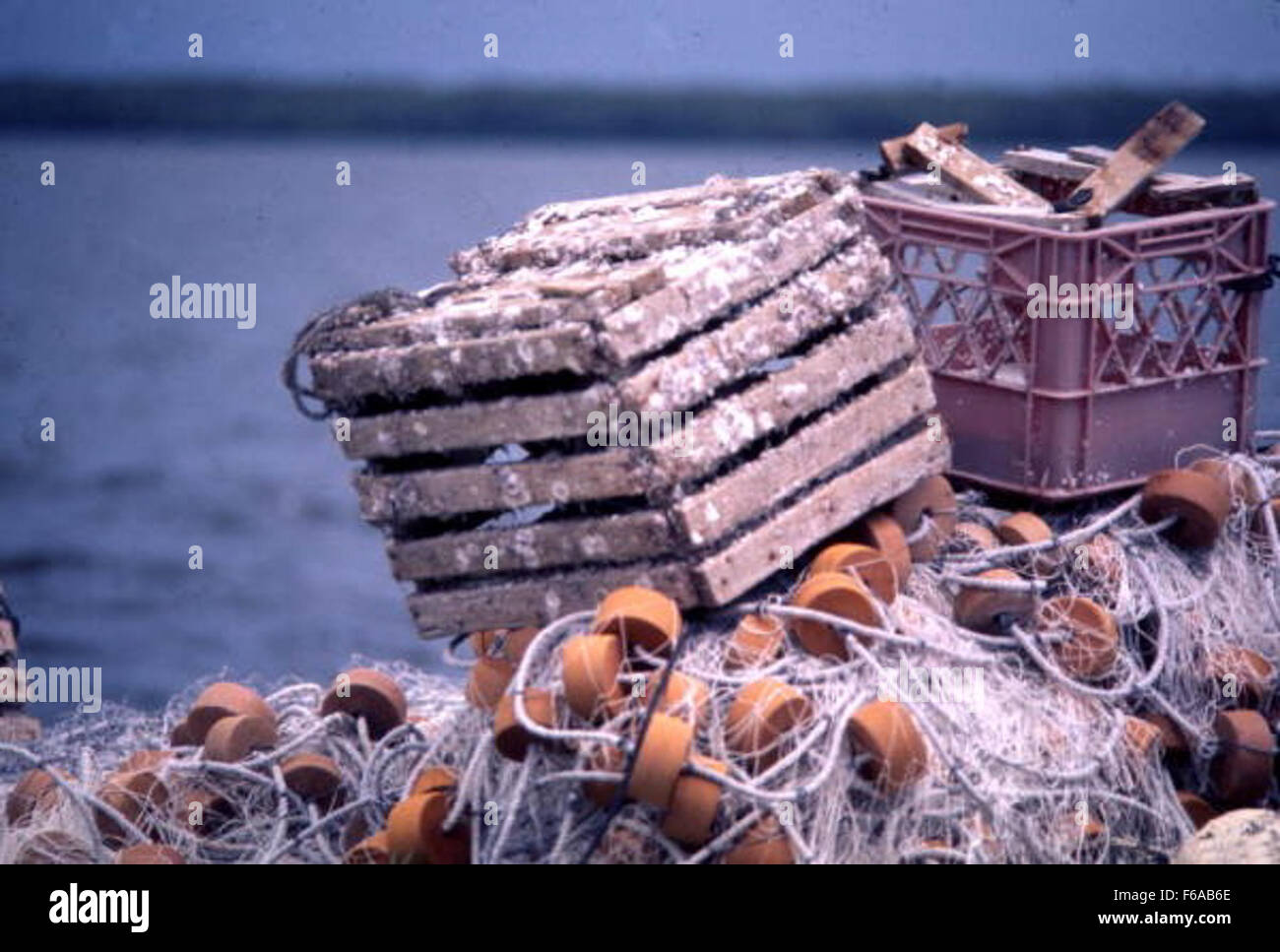 A lobster trap in Everglades City, Florida, used for trapping lobsters ...