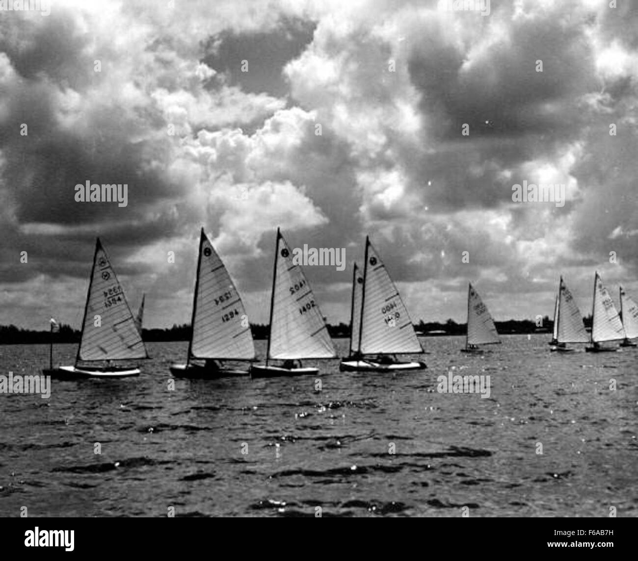 Moth class sailboats competing in the Labor Day boat races held in ...