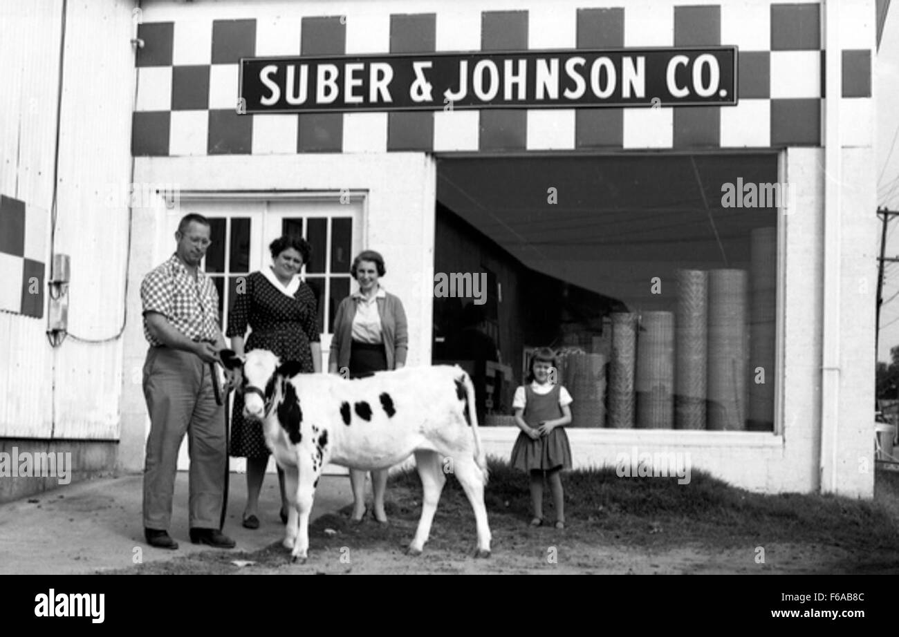 Heifer Black and White Stock Photos & Images - Alamy