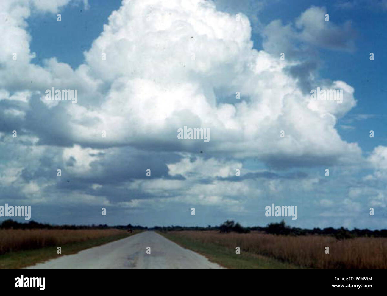 Brighton indian reservation hi-res stock photography and images - Alamy