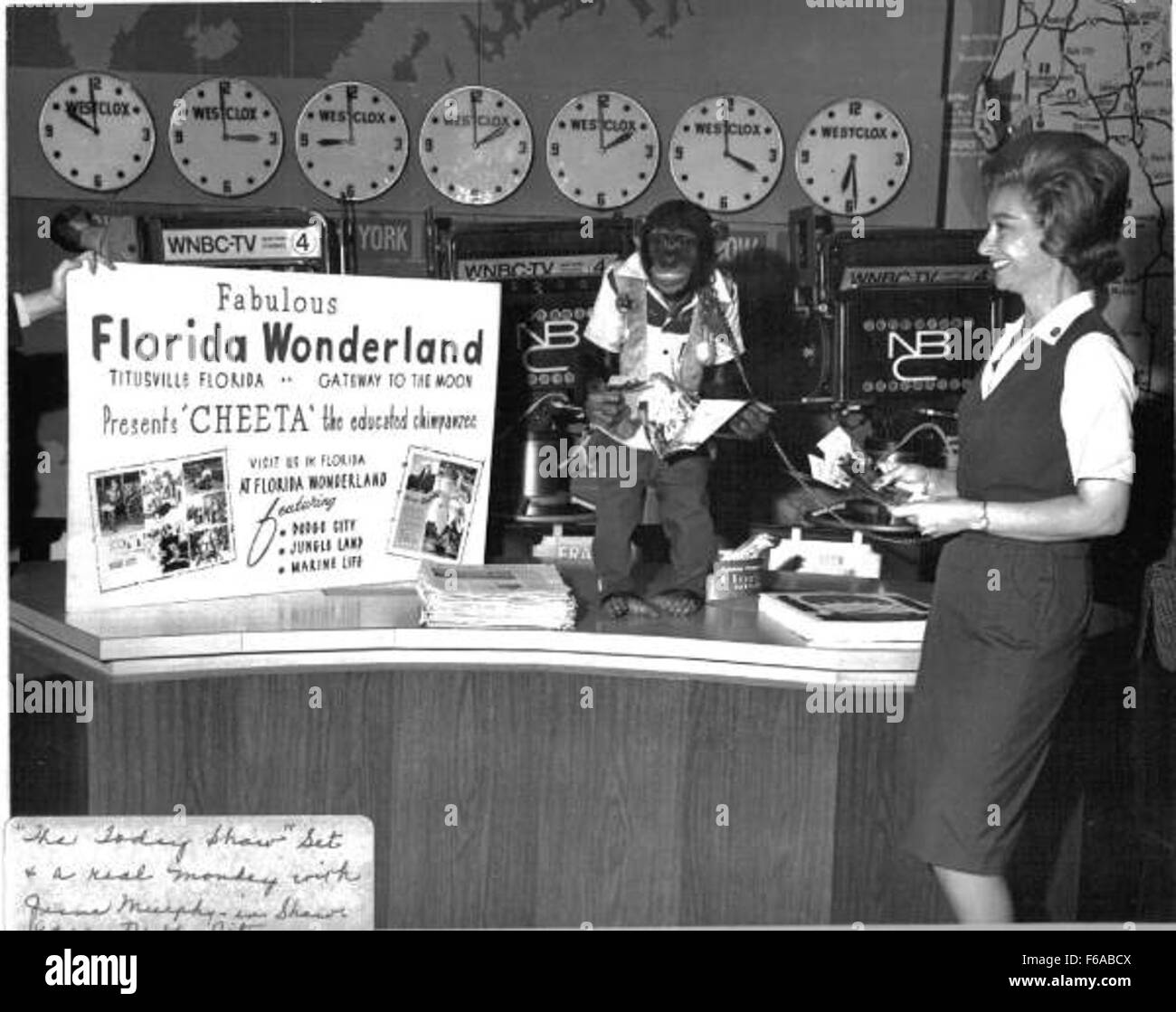 Animals showcase Black and White Stock Photos & Images - Alamy