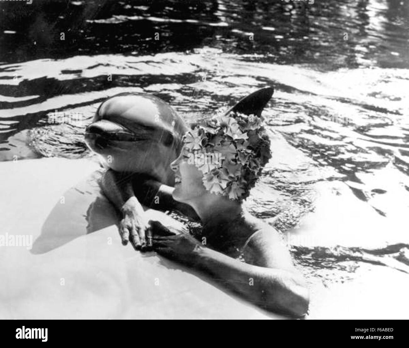 Flipper, the famous dolphin from the Miami Seaquarium, is featured ...