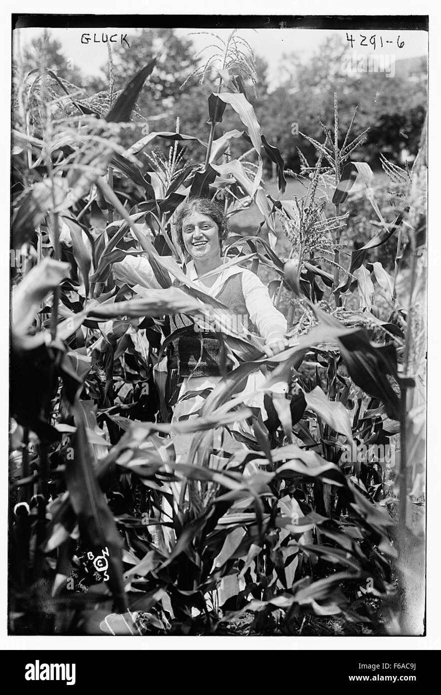 Christoph Willibald Gluck was a German composer known for reforming ...