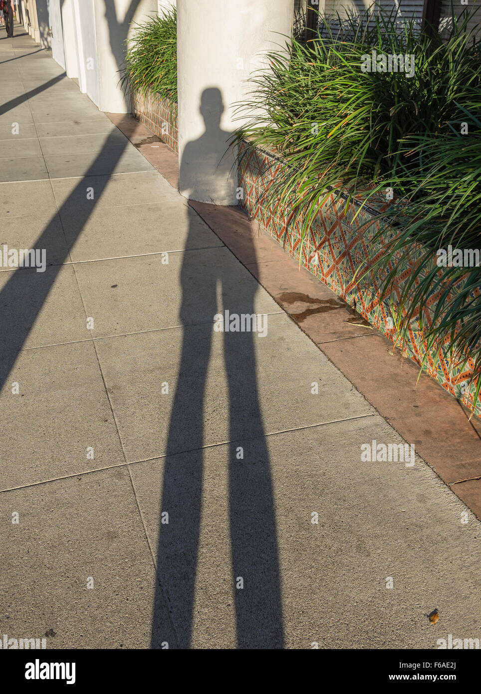 Portraits in shadow hi-res stock photography and images - Alamy