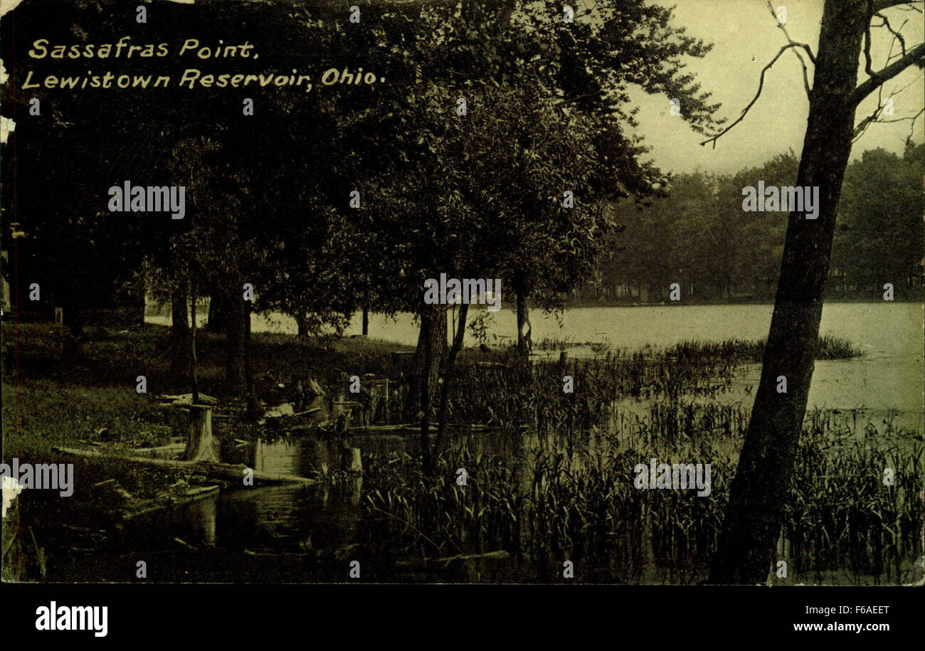 Sassafras Point at Indian Lake in Ohio is shown in this scenic postcard ...