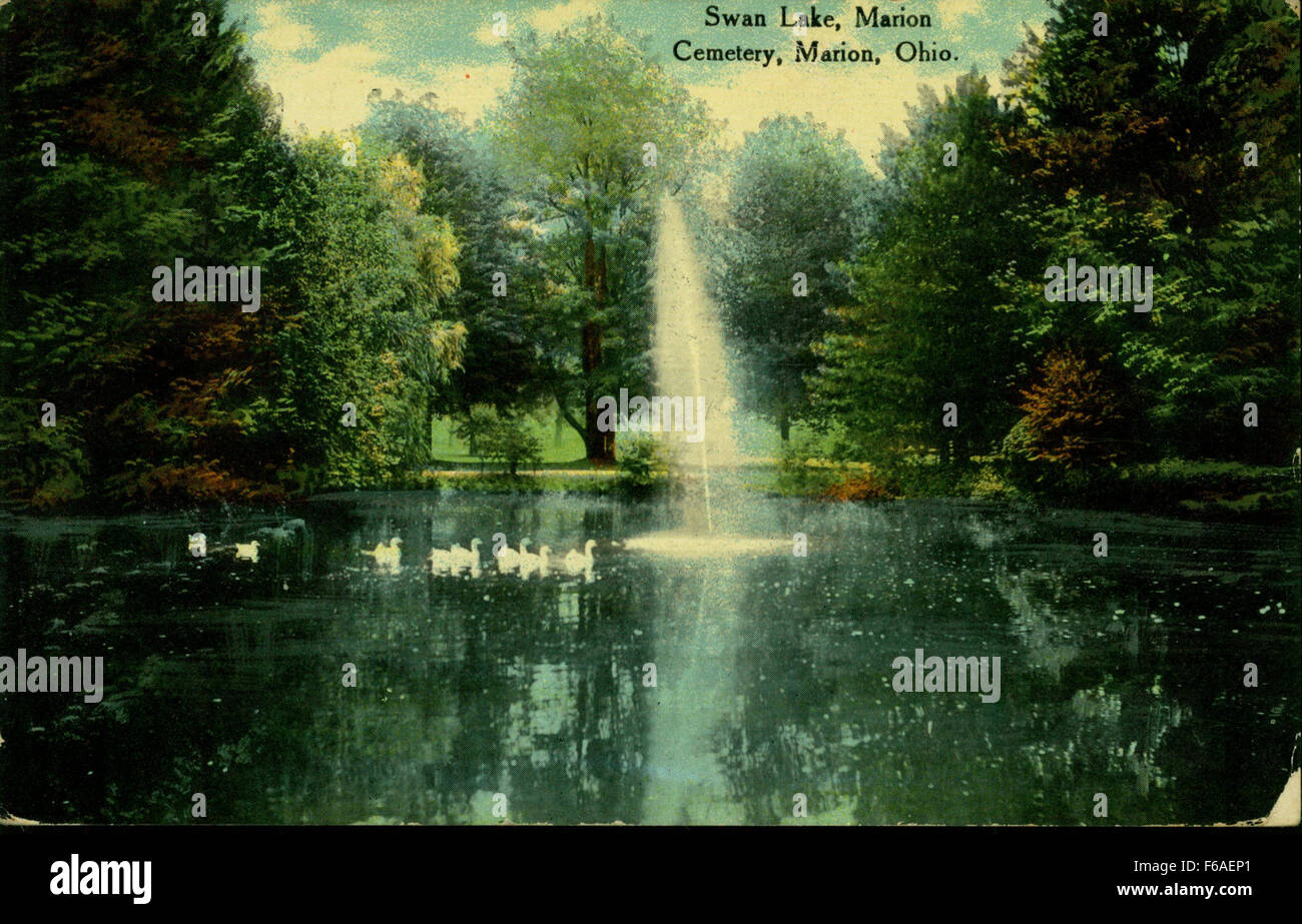 Swan Lake is one of the most famous classical ballets, composed by ...