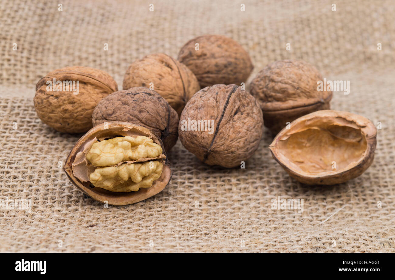 Walnuts shells hi-res stock photography and images - Alamy