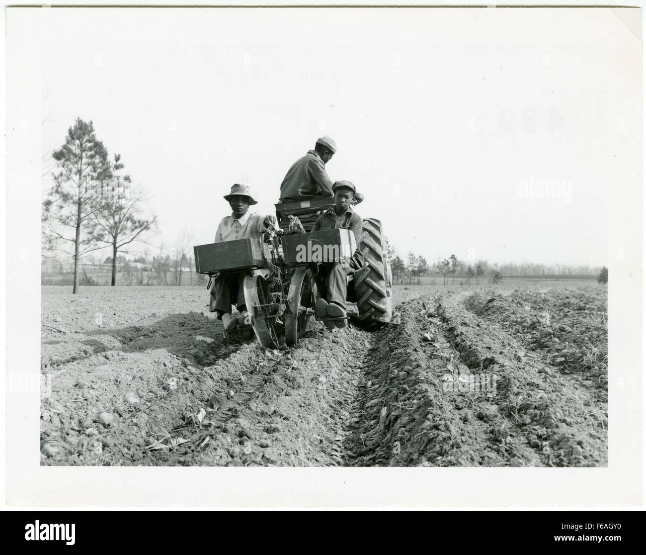 Copiah Coop, planting Stock Photo - Alamy